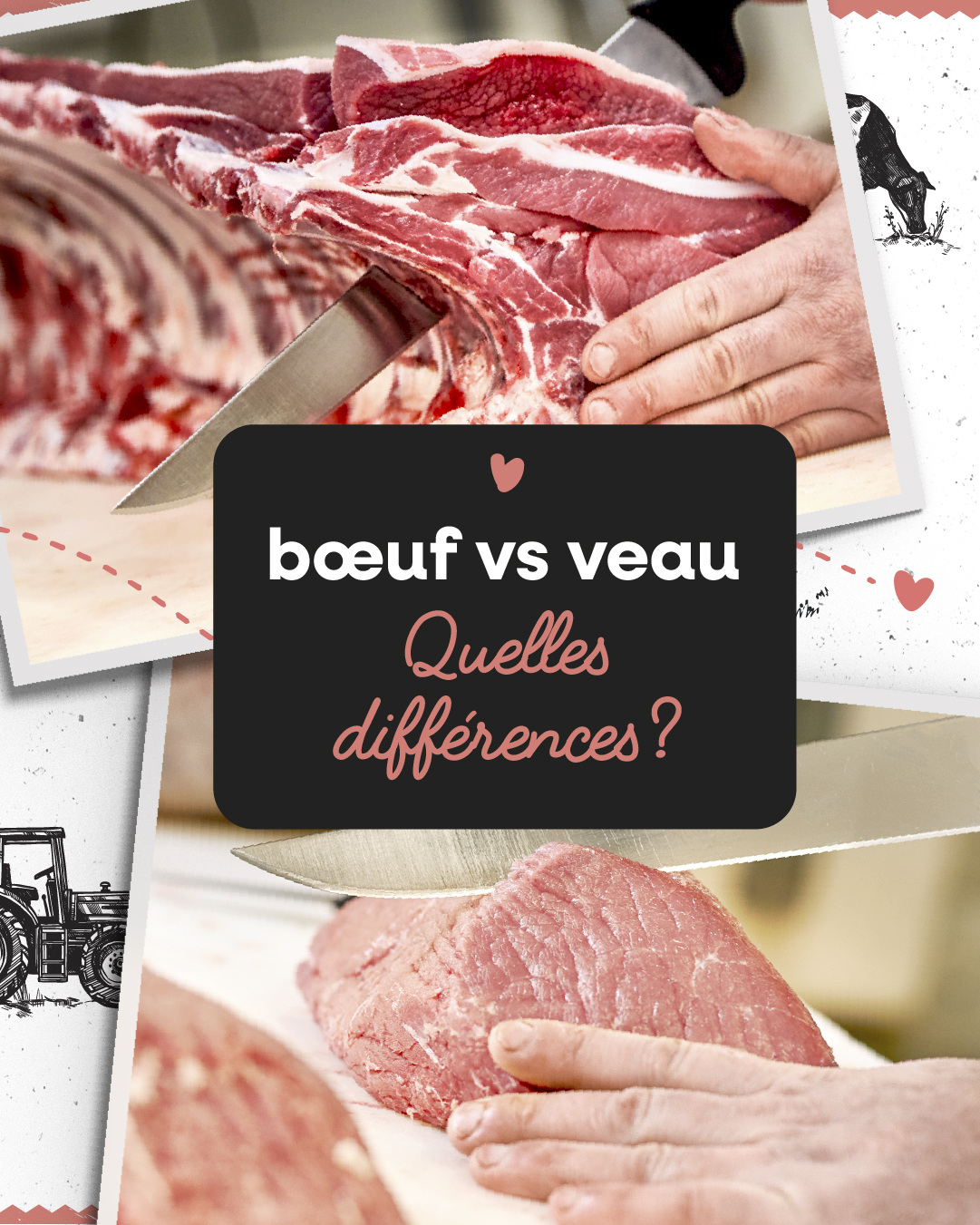 Bœuf vs veau : quelles différences ? - French Bidoche